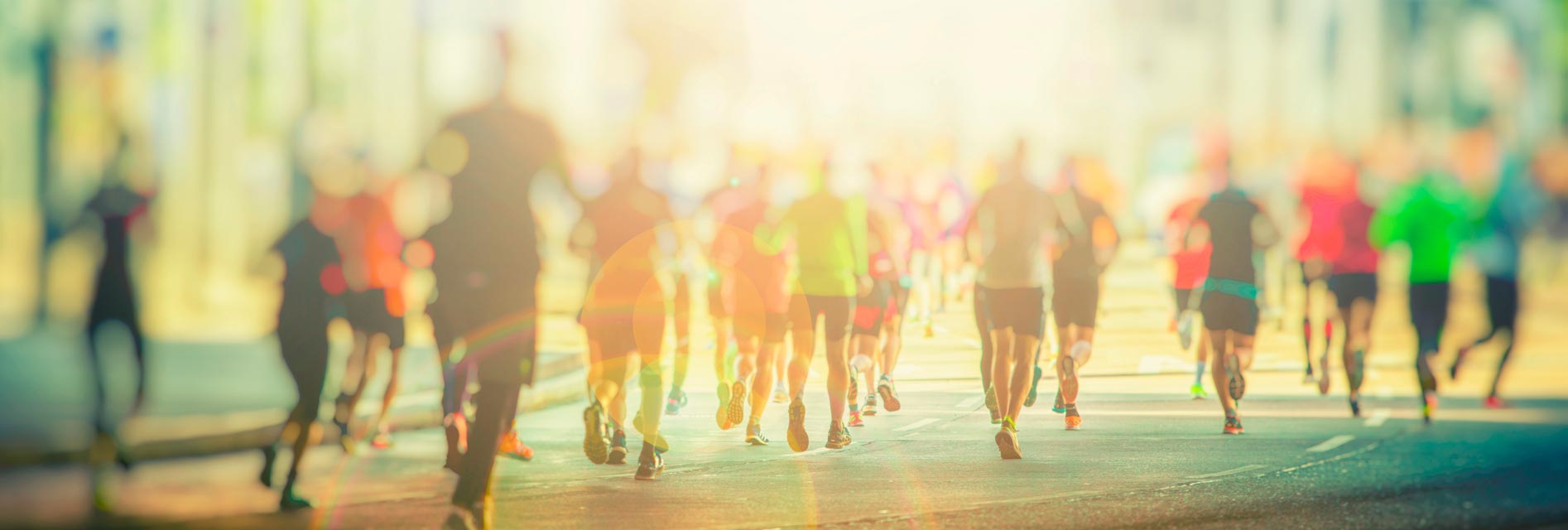 Japan’s Data & Sports - SASAKAWA SPORTS FOUNDATION